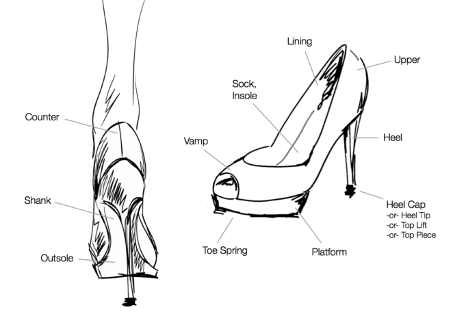 Parts of a Shoe: Office, Pointe, High Heel & Running Shoe Features